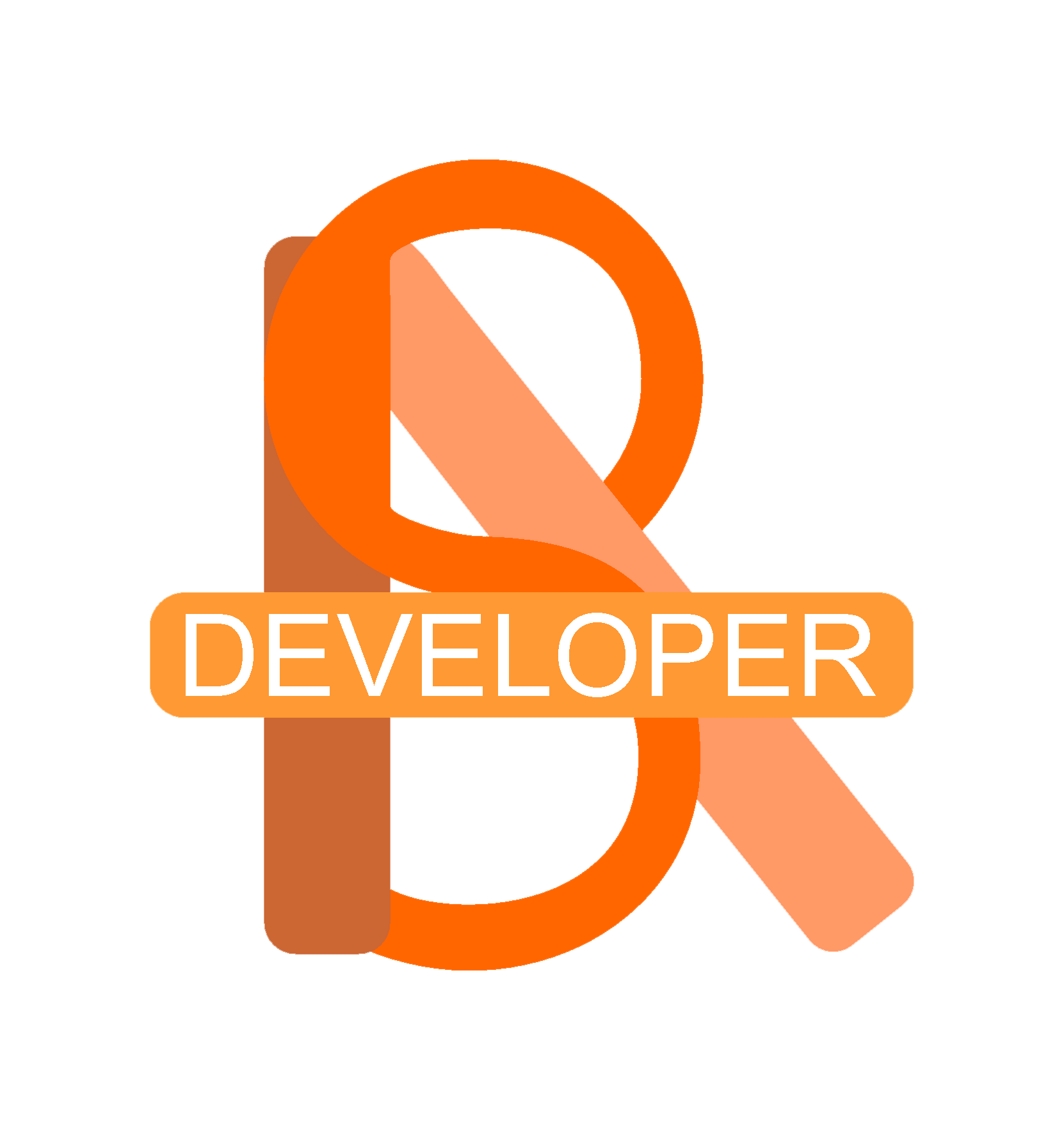 ARS Software Company